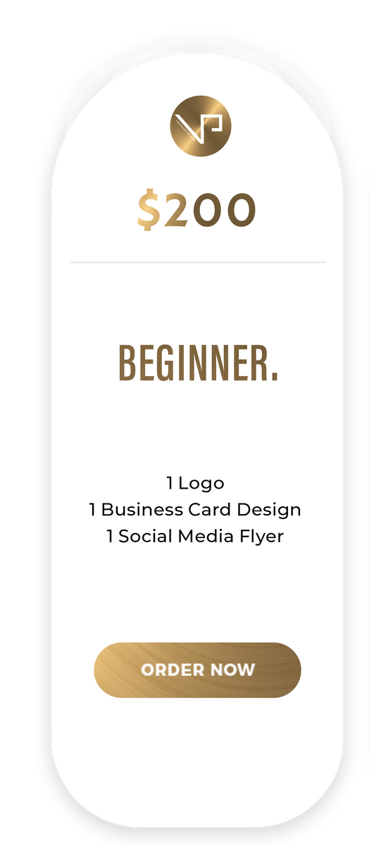 Beginner Bundle – Visionary Palette